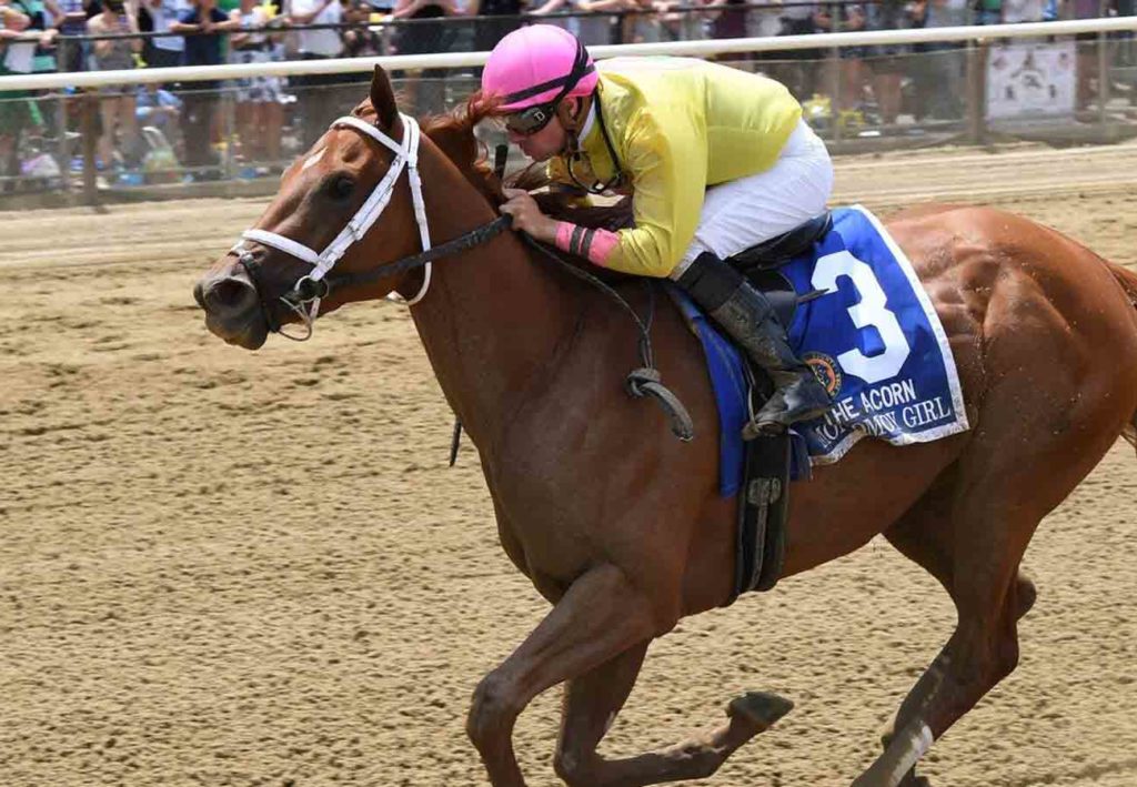 Monomoy Girl - The Elkstone Group